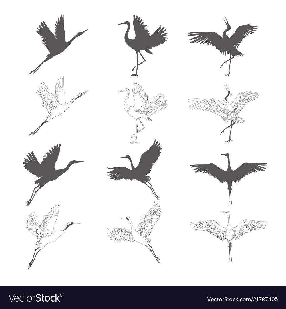 Wild birds in flight animals nature Royalty Free Vector