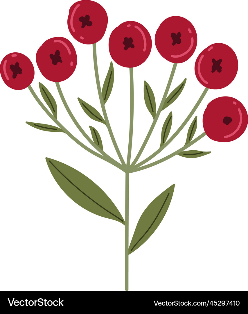 Berries fruits branch Royalty Free Vector Image