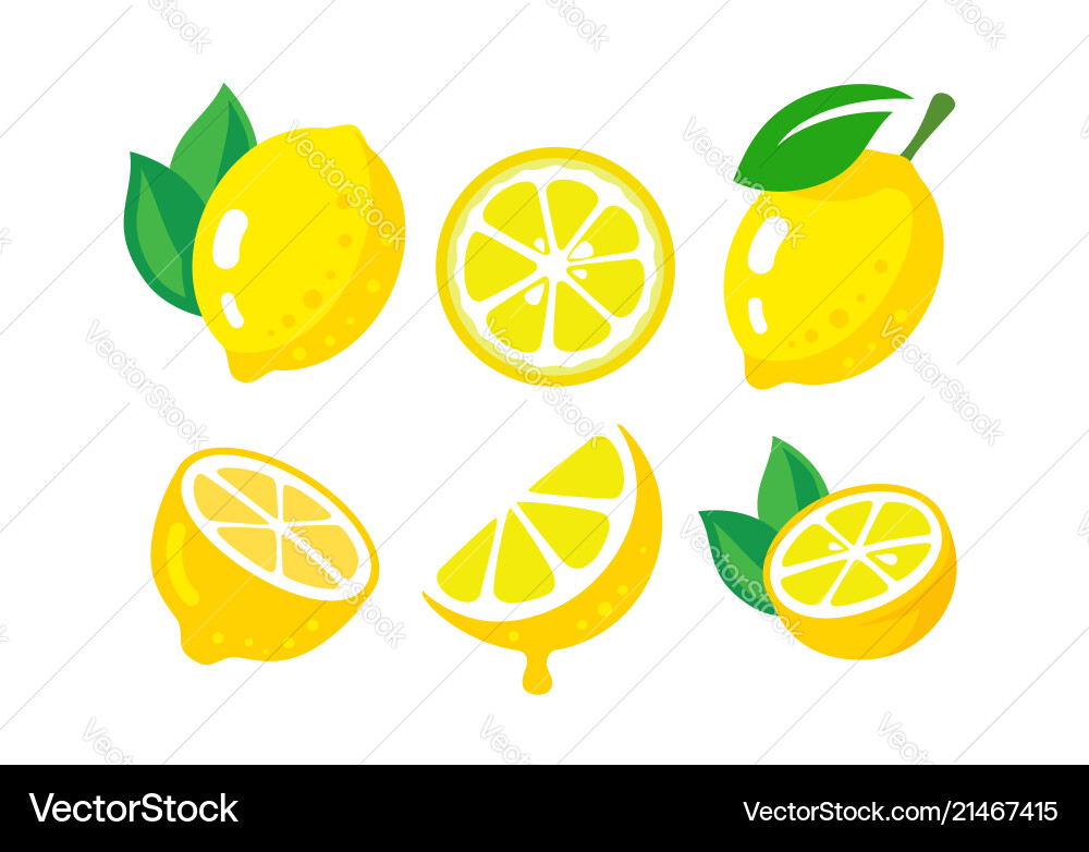 Fresh lemon fruits Royalty Free Vector Image - VectorStock