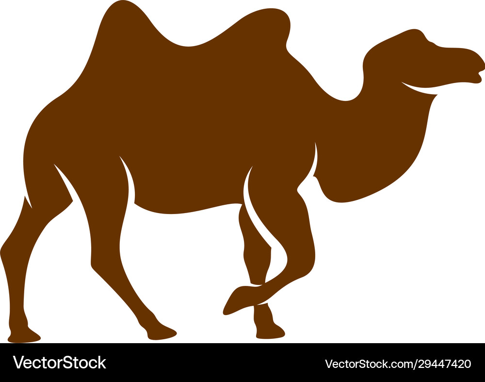 Camel logo animal graphic design template Vector Image