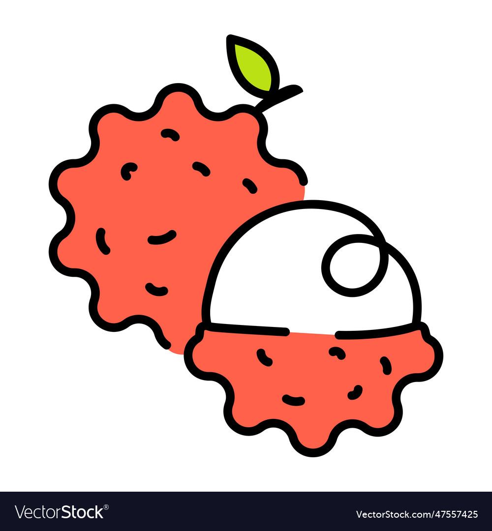 Lychee Royalty Free Vector Image - VectorStock