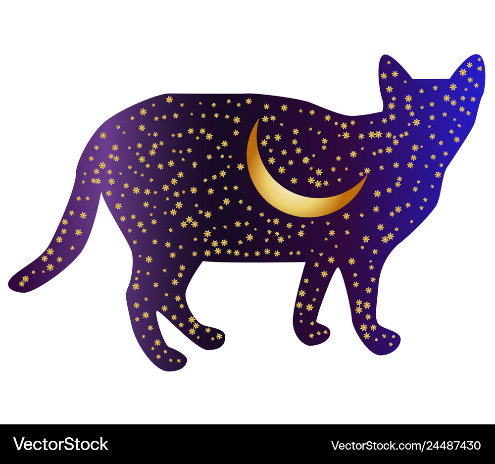 Cat-night cat silhouettes painted with a night Vector Image