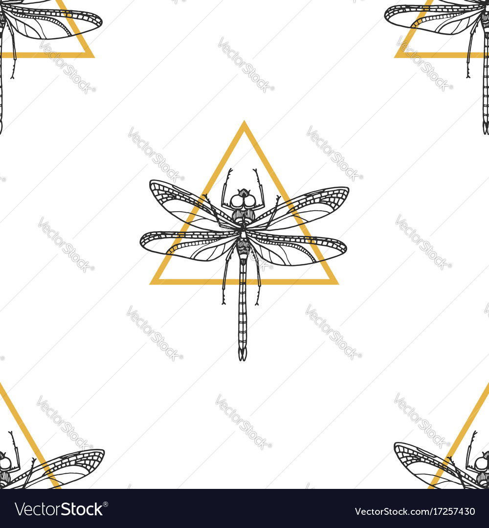 Pattern dragonfly Royalty Free Vector Image - VectorStock