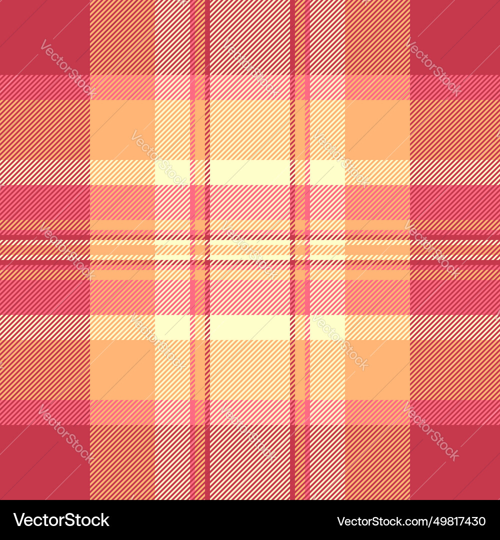 Seamless fabric of textile pattern plaid with a Vector Image