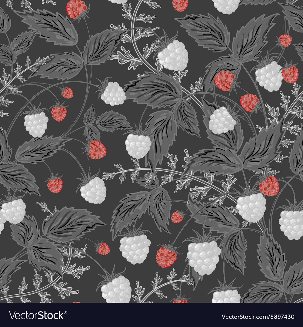 Seamless raspberry pattern cute hand drawing Vector Image