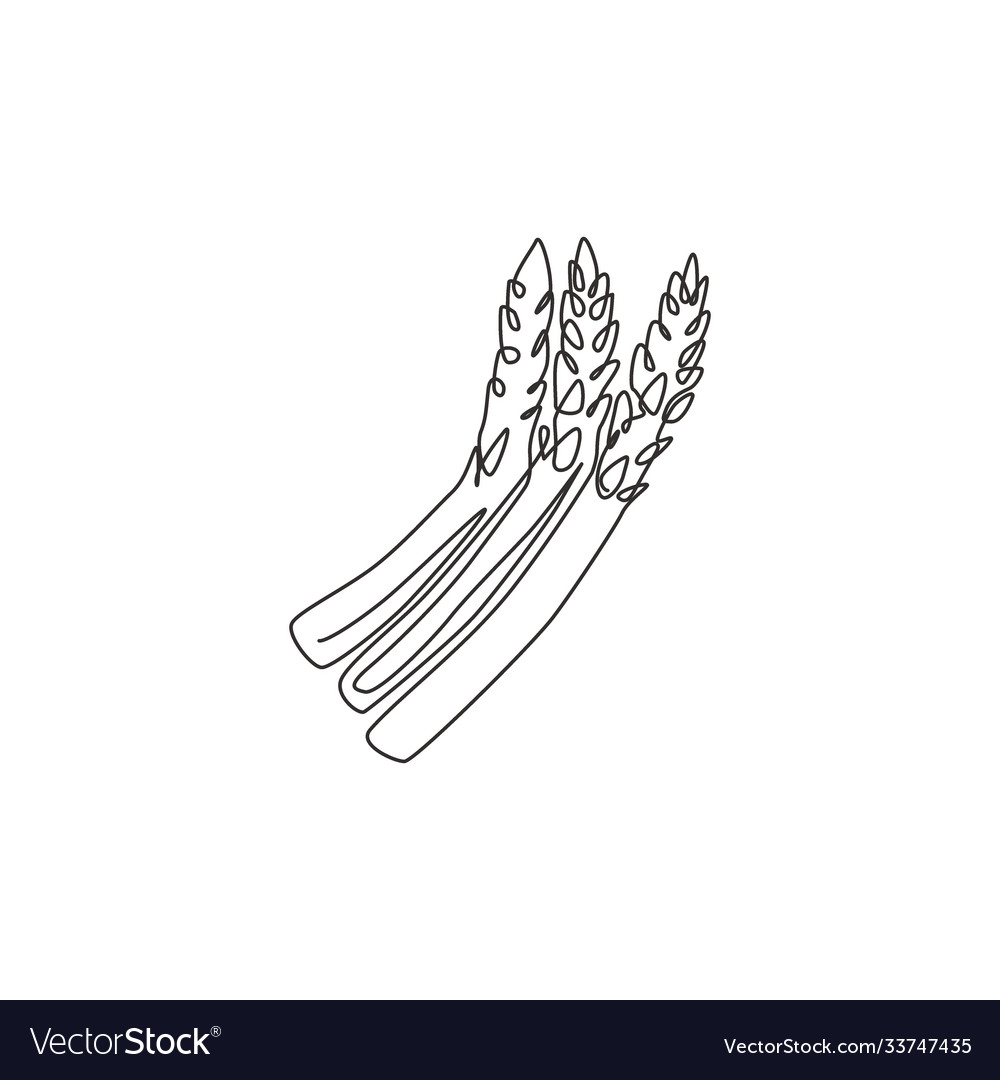 One Continuous Line Drawing Whole Healthy Vector Image