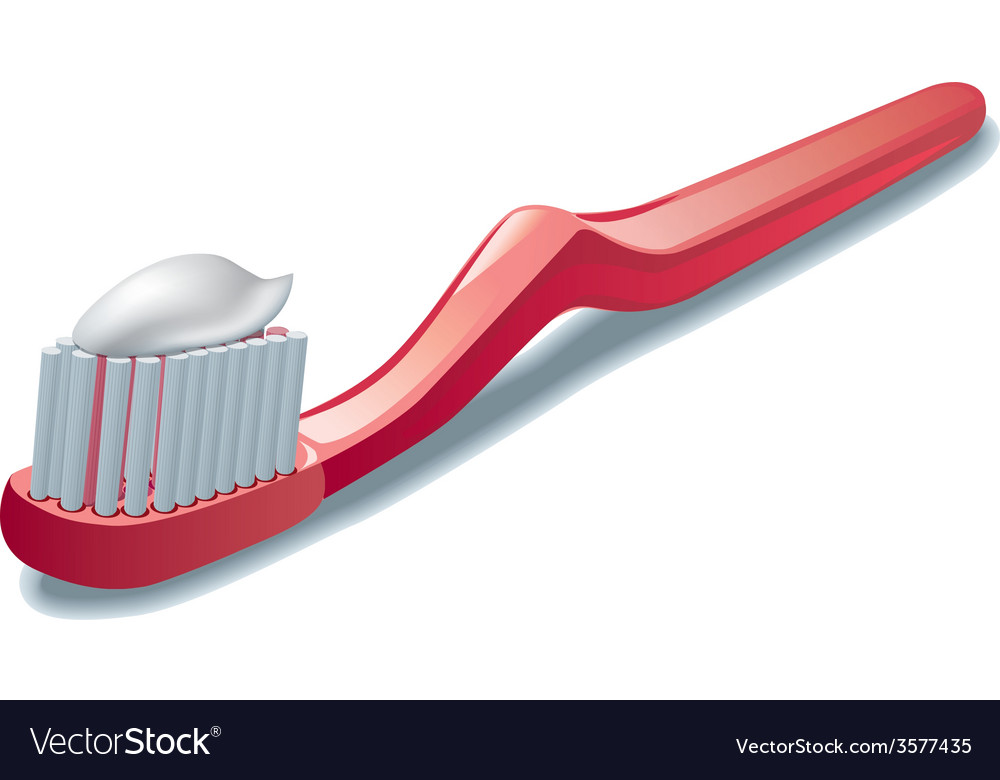Toothbrush Royalty Free Vector Image - VectorStock