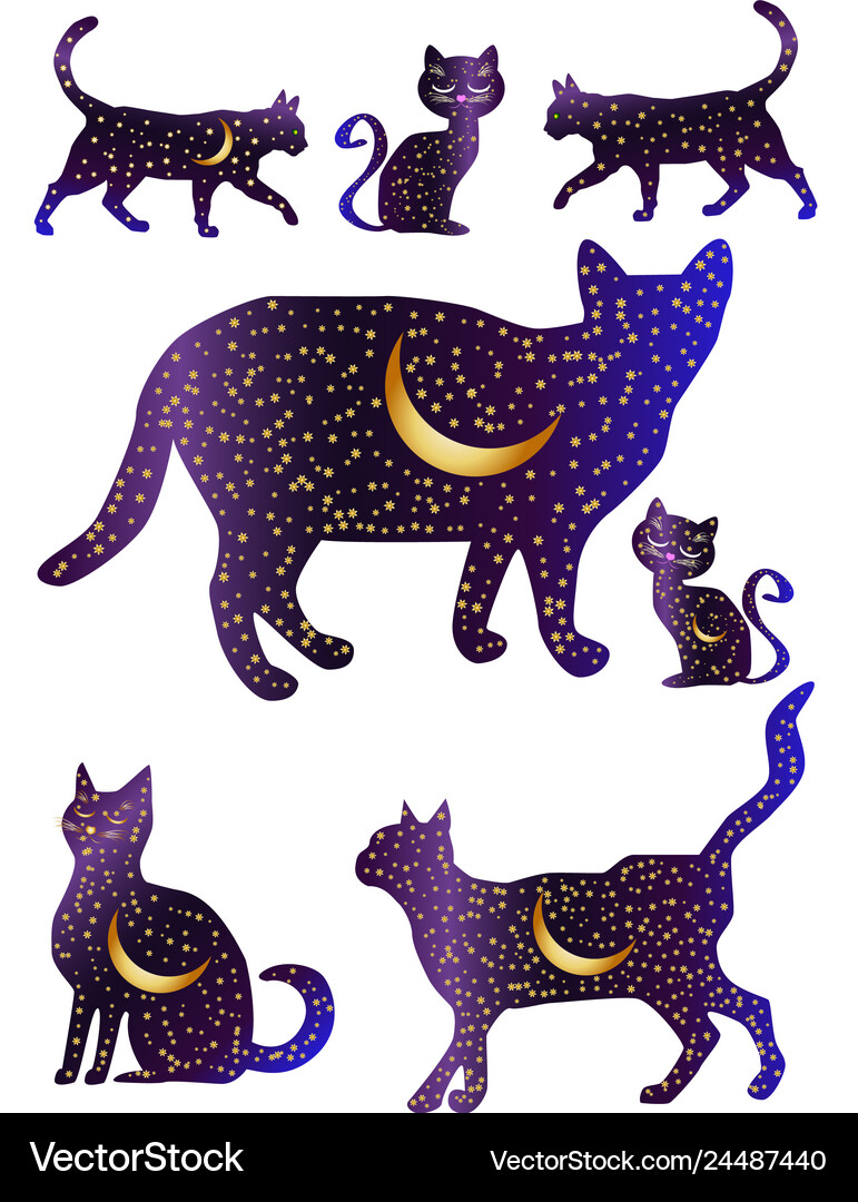 Cat-night cat silhouettes painted with a night Vector Image