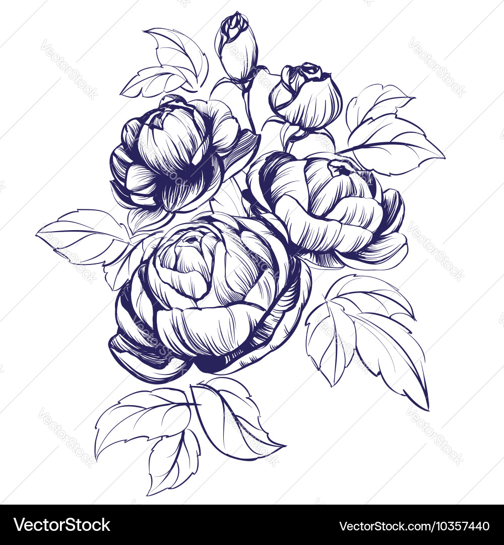 Floral blooming rose branch Royalty Free Vector Image