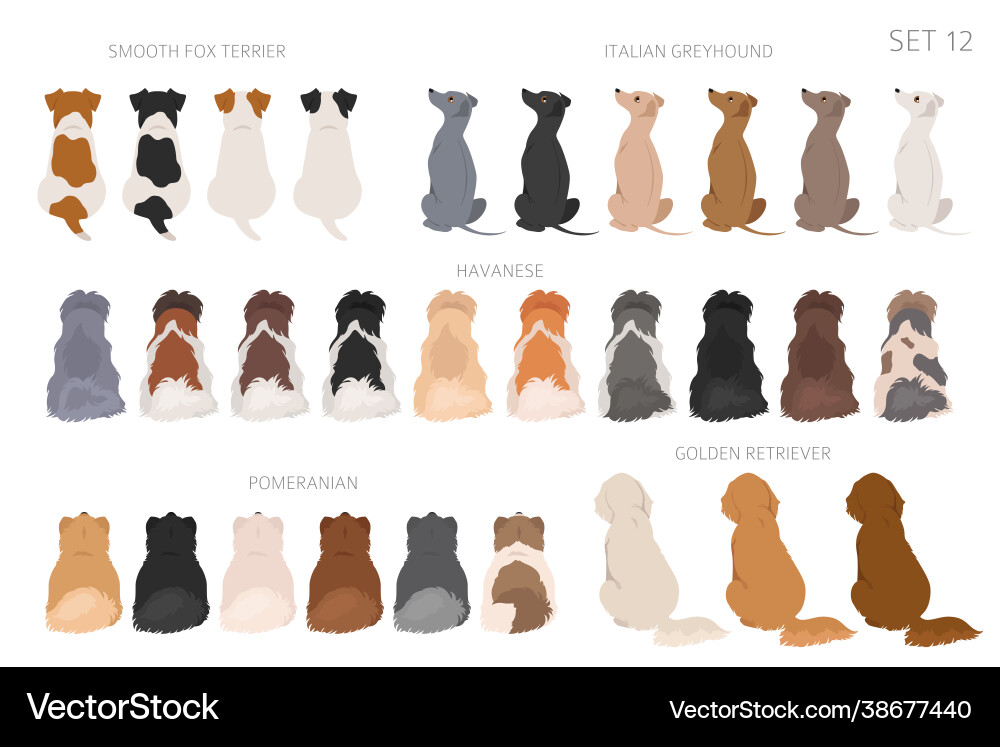Dogs Sitting Back View