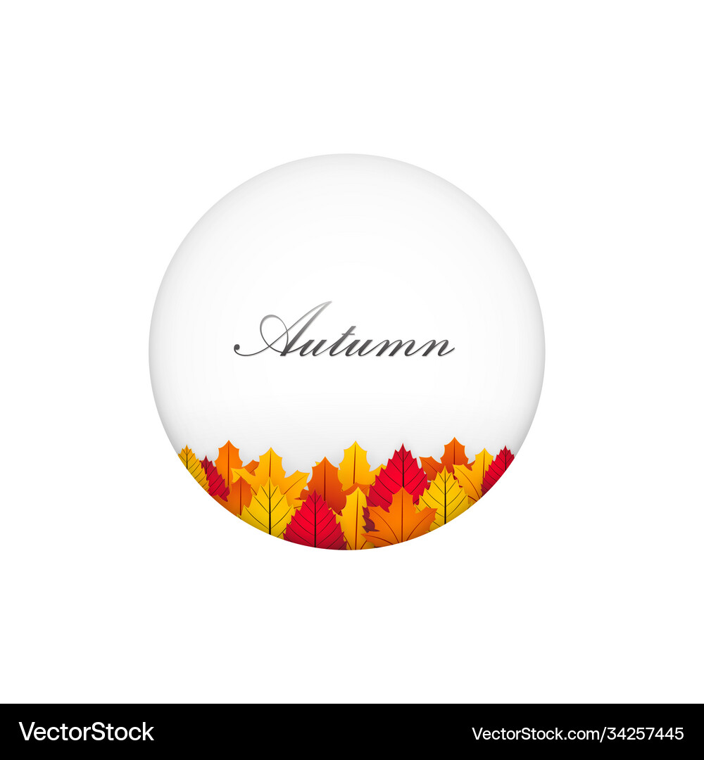Autumn background layout decorate with leaves Vector Image