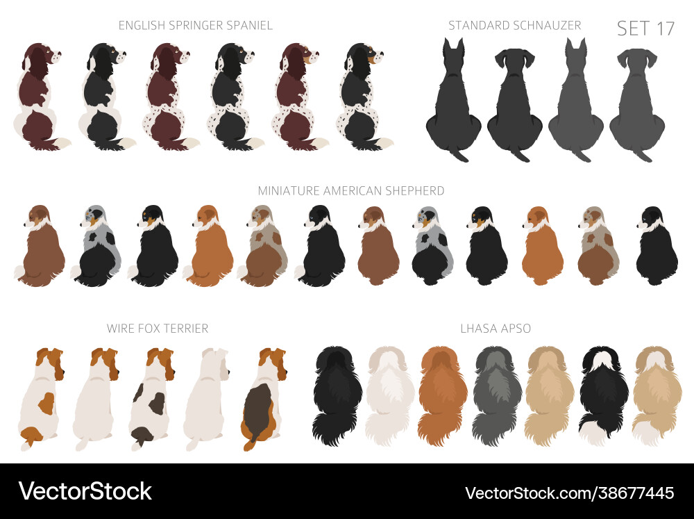 Sitting dogs backside clipart rear view Royalty Free Vector