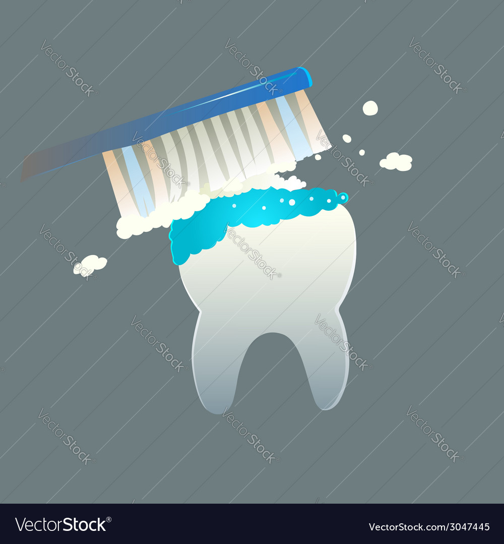 Teeth cleaning Royalty Free Vector Image - VectorStock