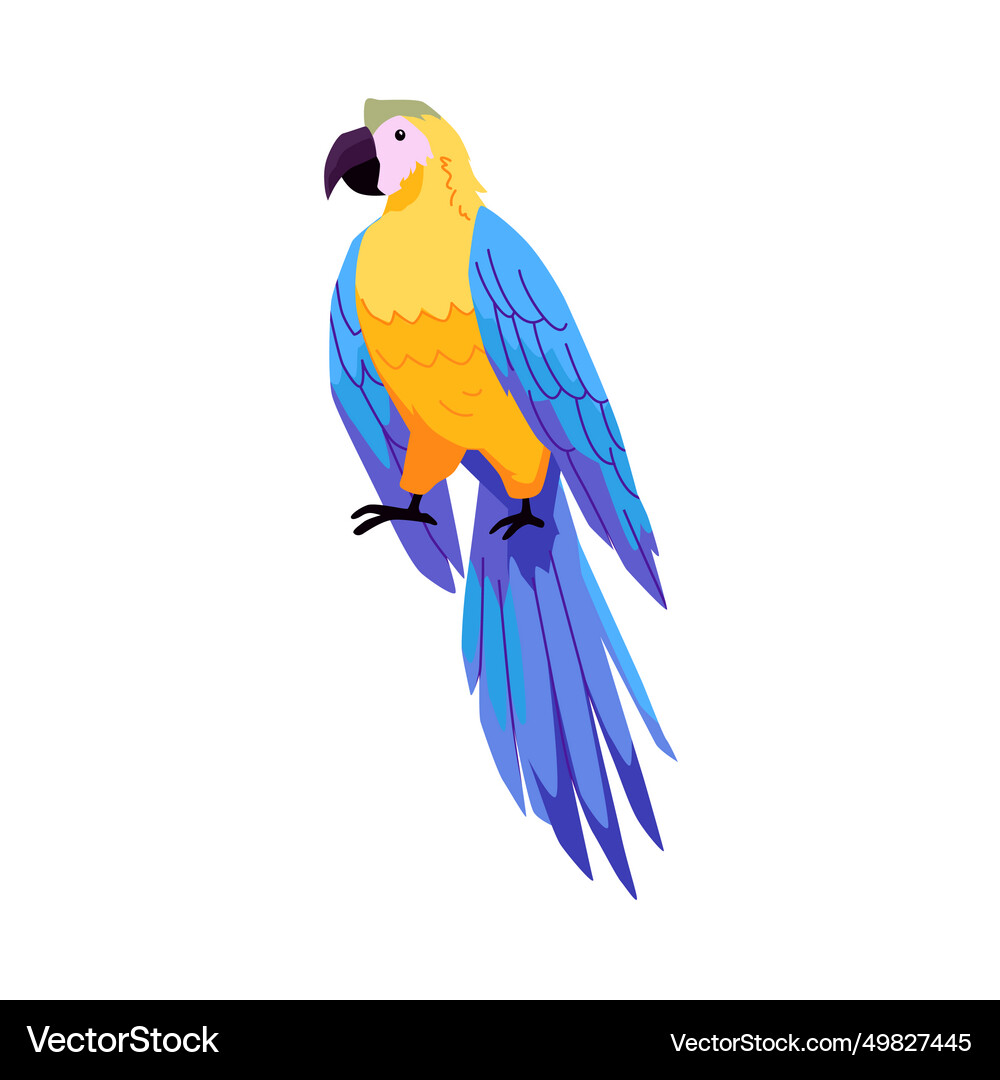 Tropical ara parrot with bright yellow blue Vector Image