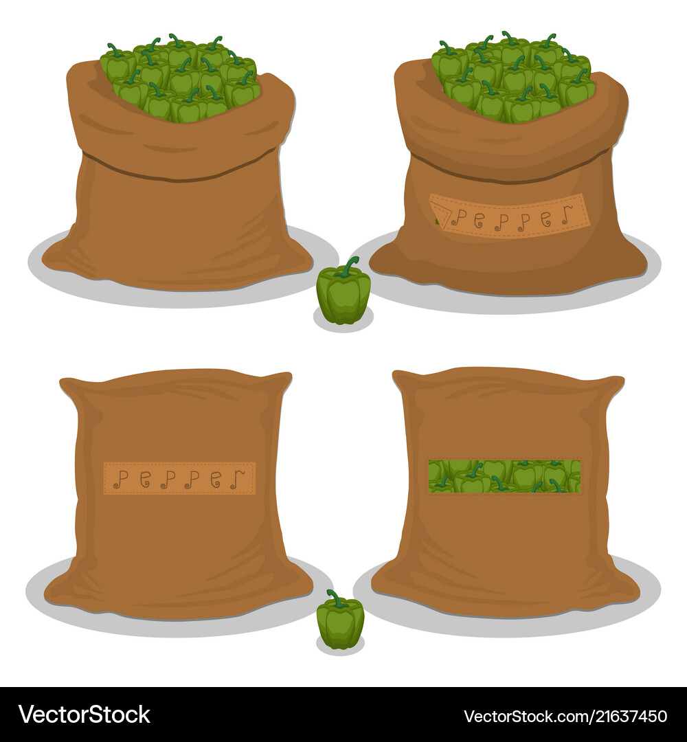 Sacks with natural food Royalty Free Vector Image