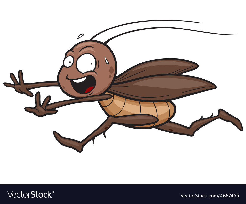 Cockroach Royalty Free Vector Image Vectorstock