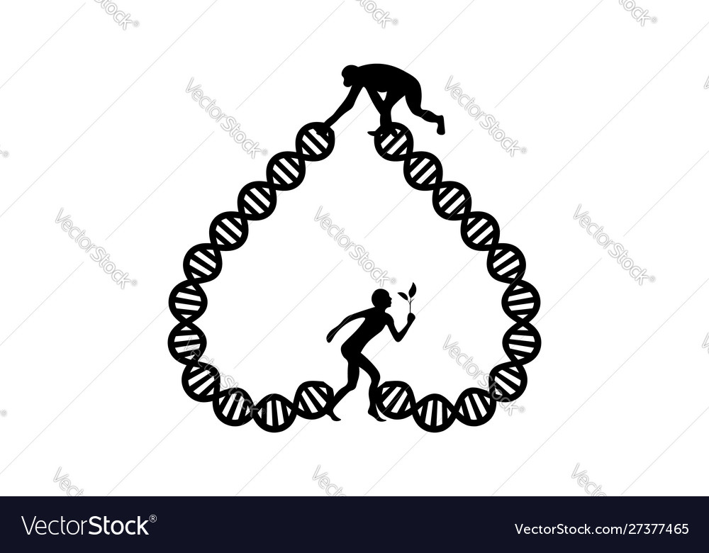 Evolution Royalty Free Vector Image - VectorStock