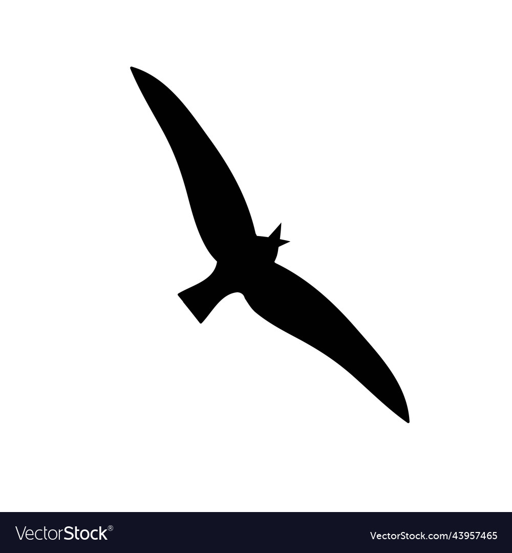 Flying seagull silhouette Royalty Free Vector Image