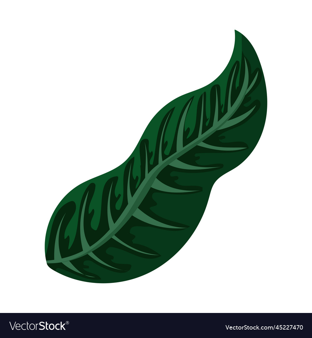 Leaf design Royalty Free Vector Image - VectorStock