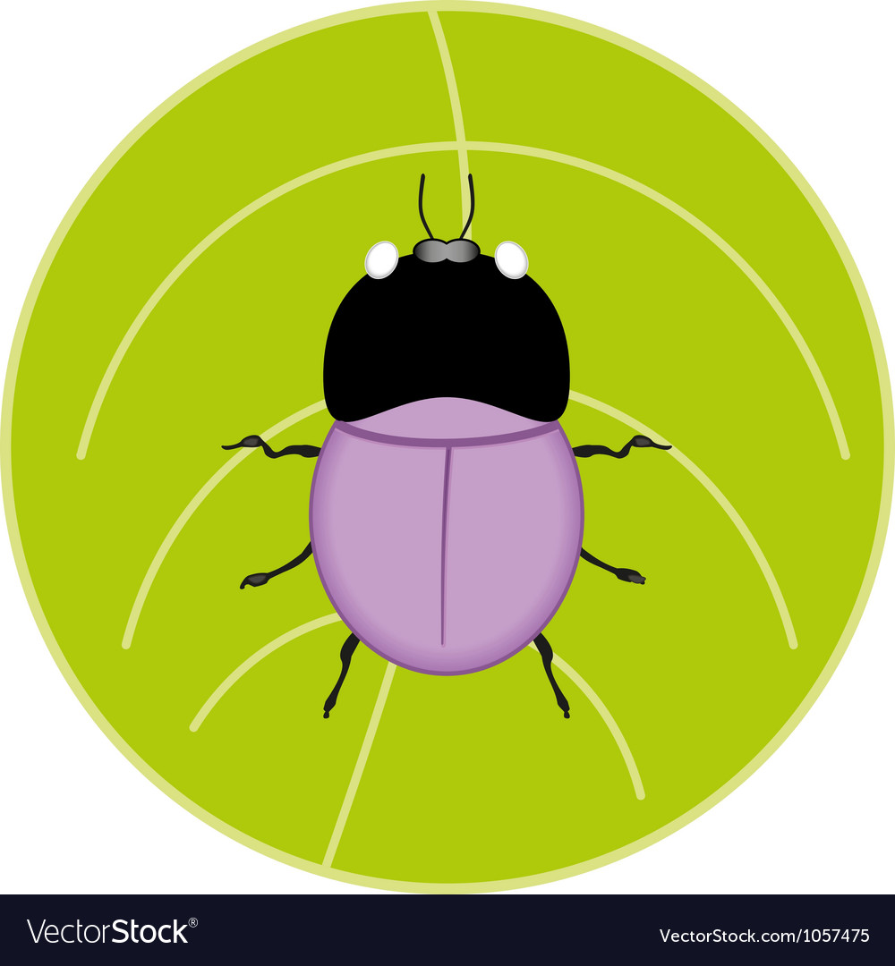 Bug Royalty Free Vector Image - VectorStock
