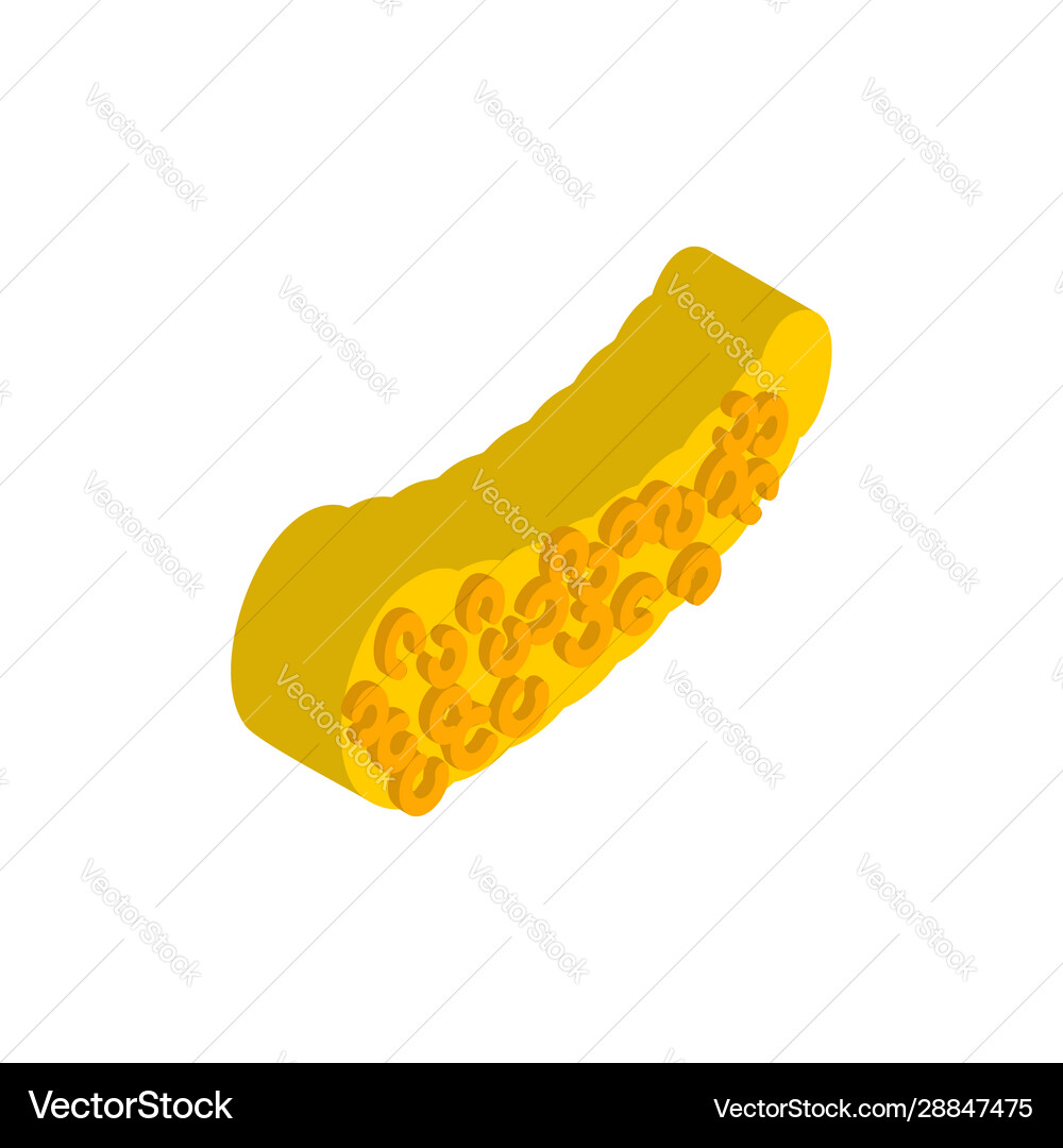 Pancreas isometric isolated internal organ 3d Vector Image
