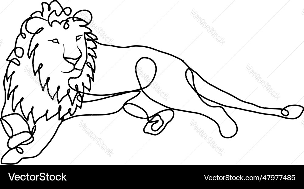 One line art lion drawings Royalty Free Vector Image