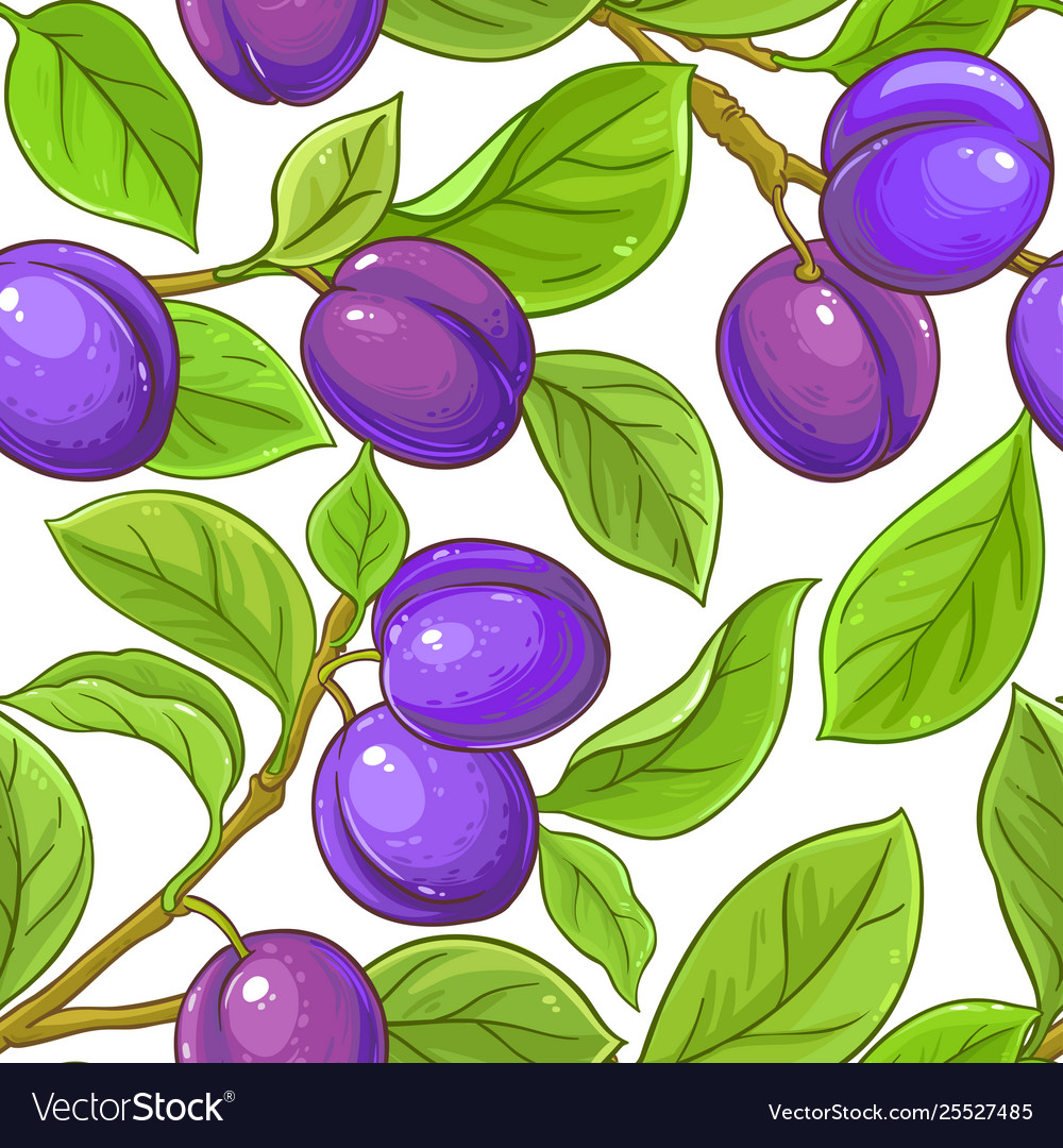 Plum pattern Royalty Free Vector Image - VectorStock