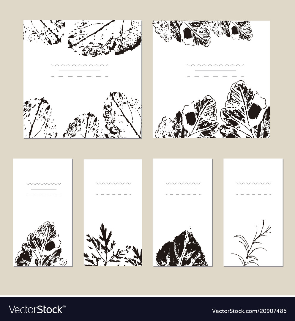 Wildflower Label Template Royalty Free Vector Image