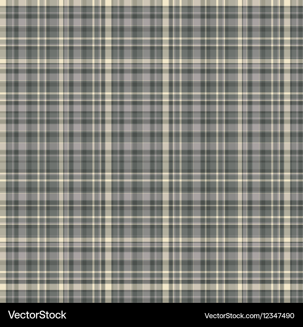 Checkered fabric tartan textile vintage Royalty Free Vector