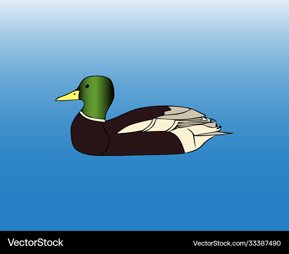 Green duck on blue water Royalty Free Vector Image