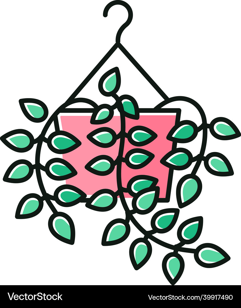 Pothos rgb color icon devils ivy epipremnum Vector Image