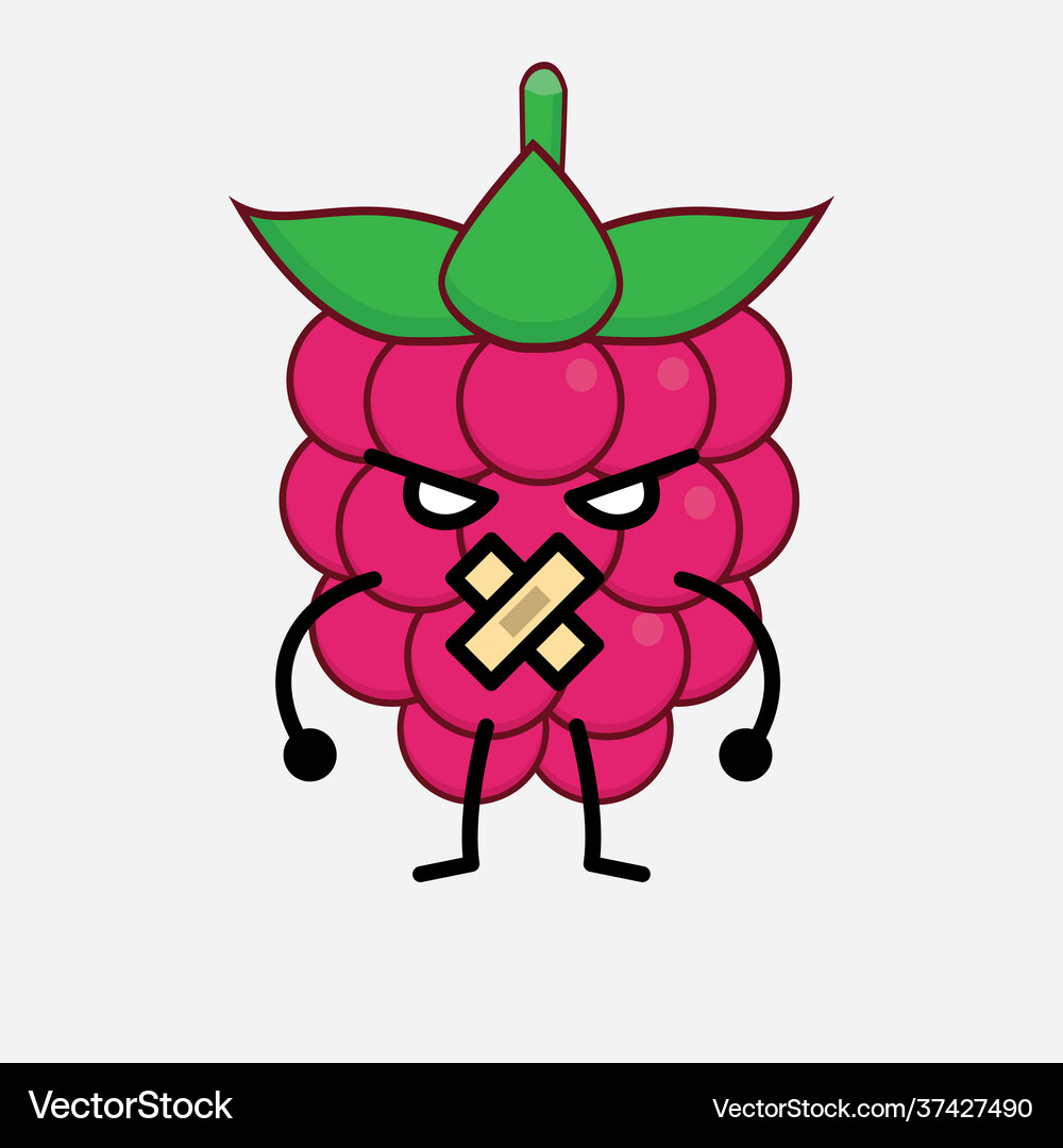 Raspberry fruit cute character with simple face Vector Image