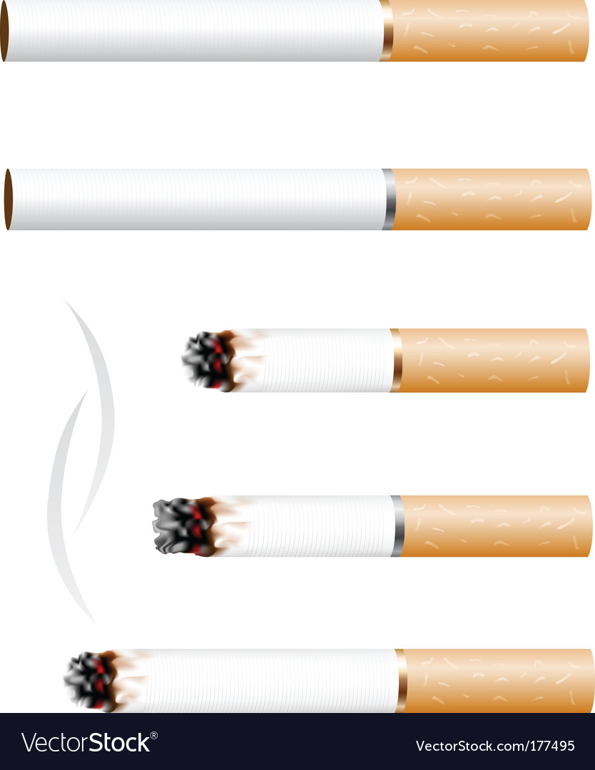 Cigarette Royalty Free Vector Image - VectorStock