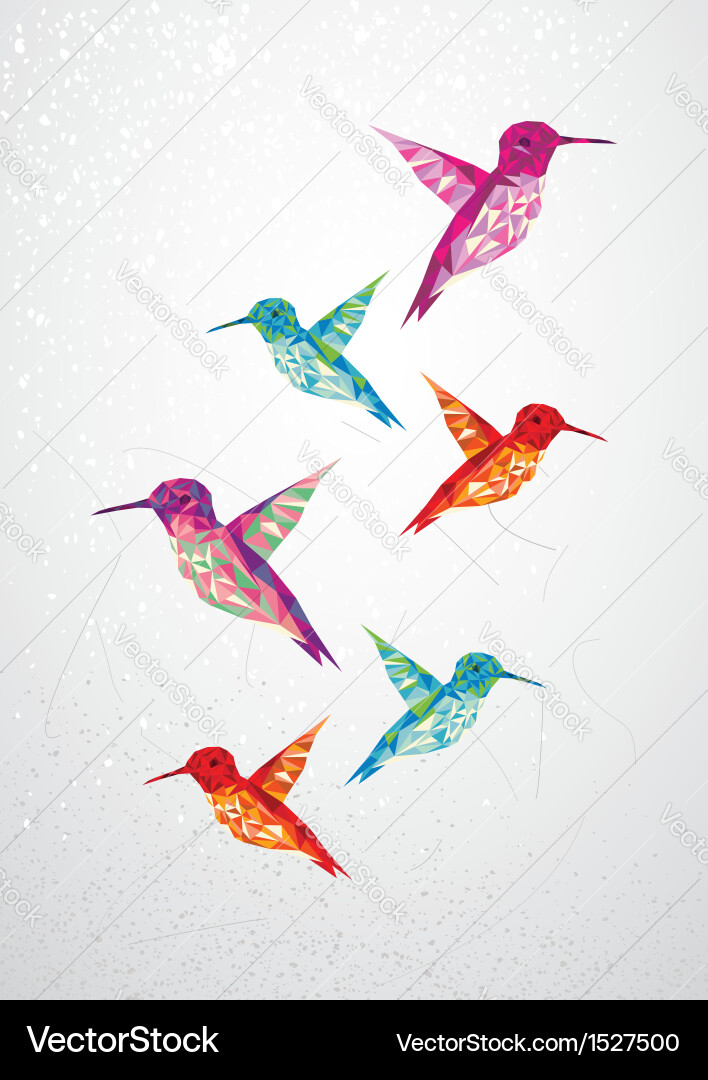 Beautiful humming birds Royalty Free Vector Image