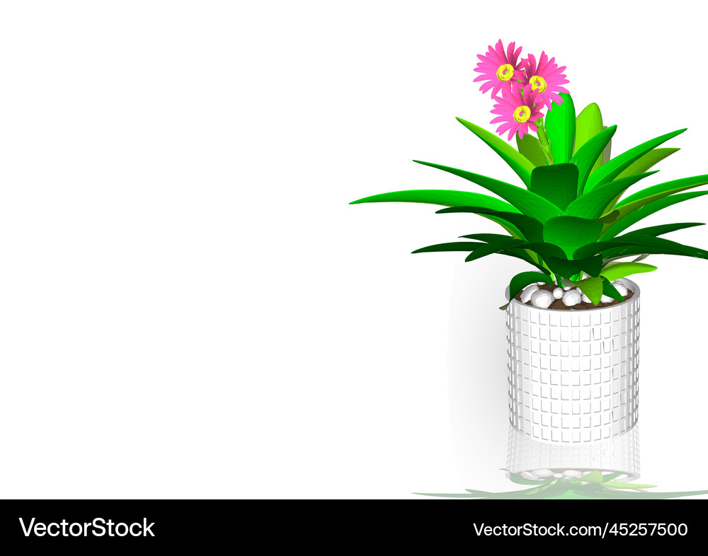 Collection of treetrees isolated on white Vector Image