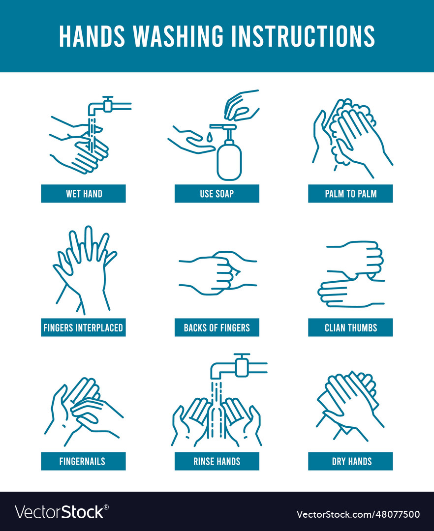 Hand Washing Instruction Step By Tutorial Vector Image