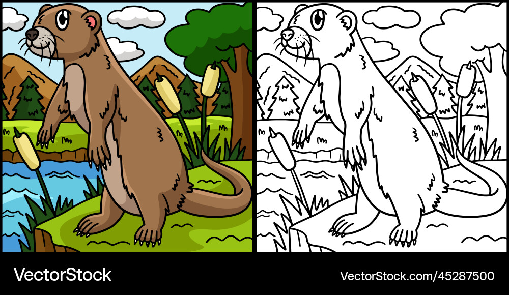 River otter coloring page colored Royalty Free Vector Image