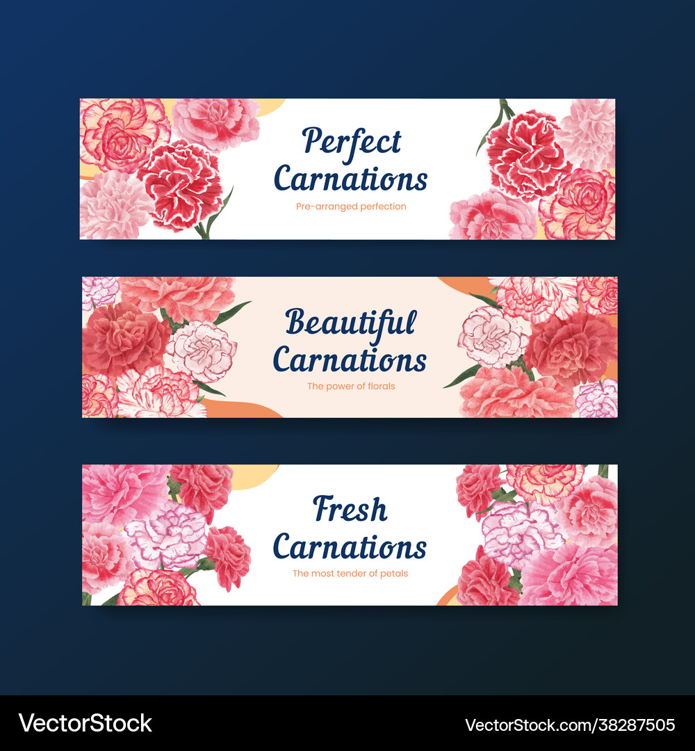 Banner template with carnation flower concept Vector Image