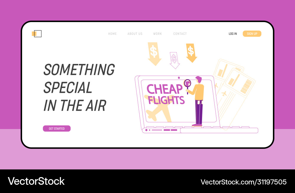 Cheap flight special offer low cost airline Vector Image