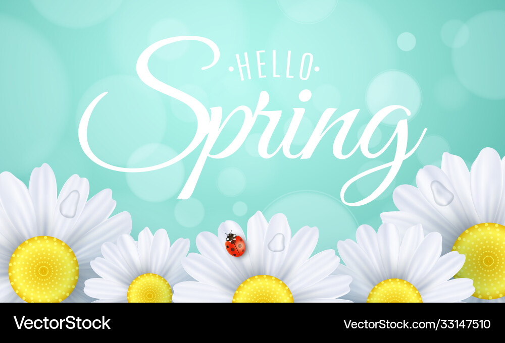 Hello spring gift card seasonal modern banner Vector Image