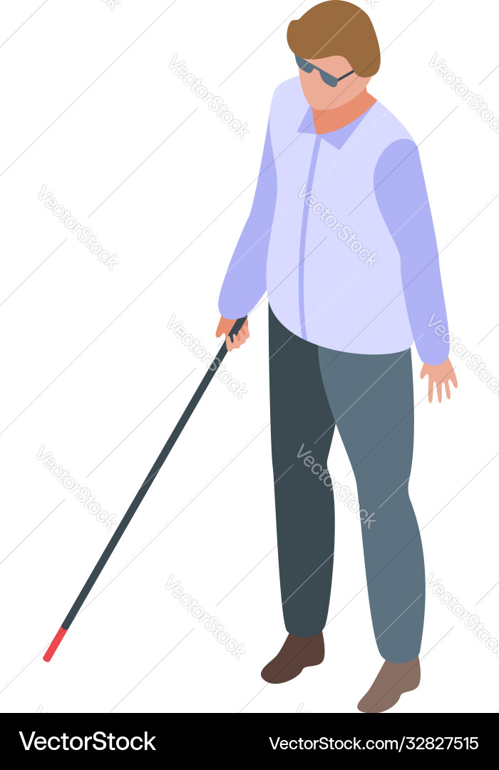 Inclusive education blind boy icon isometric Vector Image