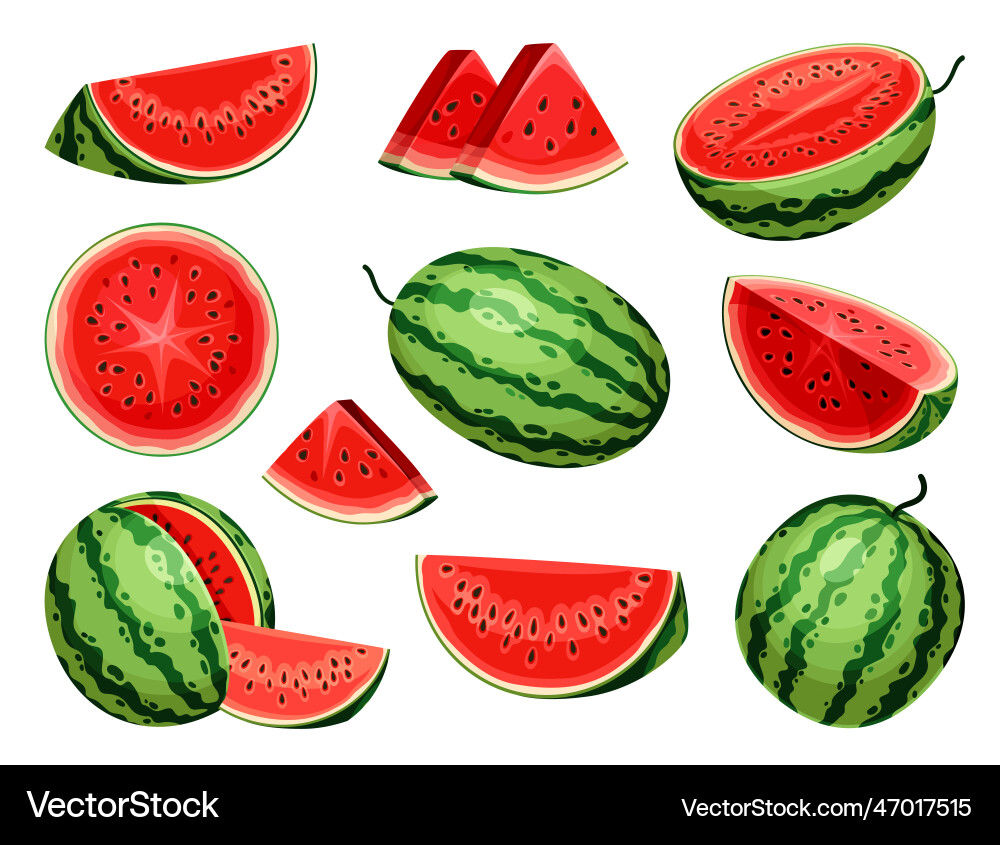 Set of watermelons Royalty Free Vector Image - VectorStock
