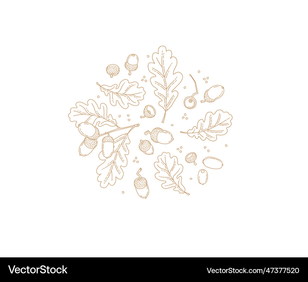 Autumn oak leaves and acorns isolated elements – Royalty-Free Vector ...