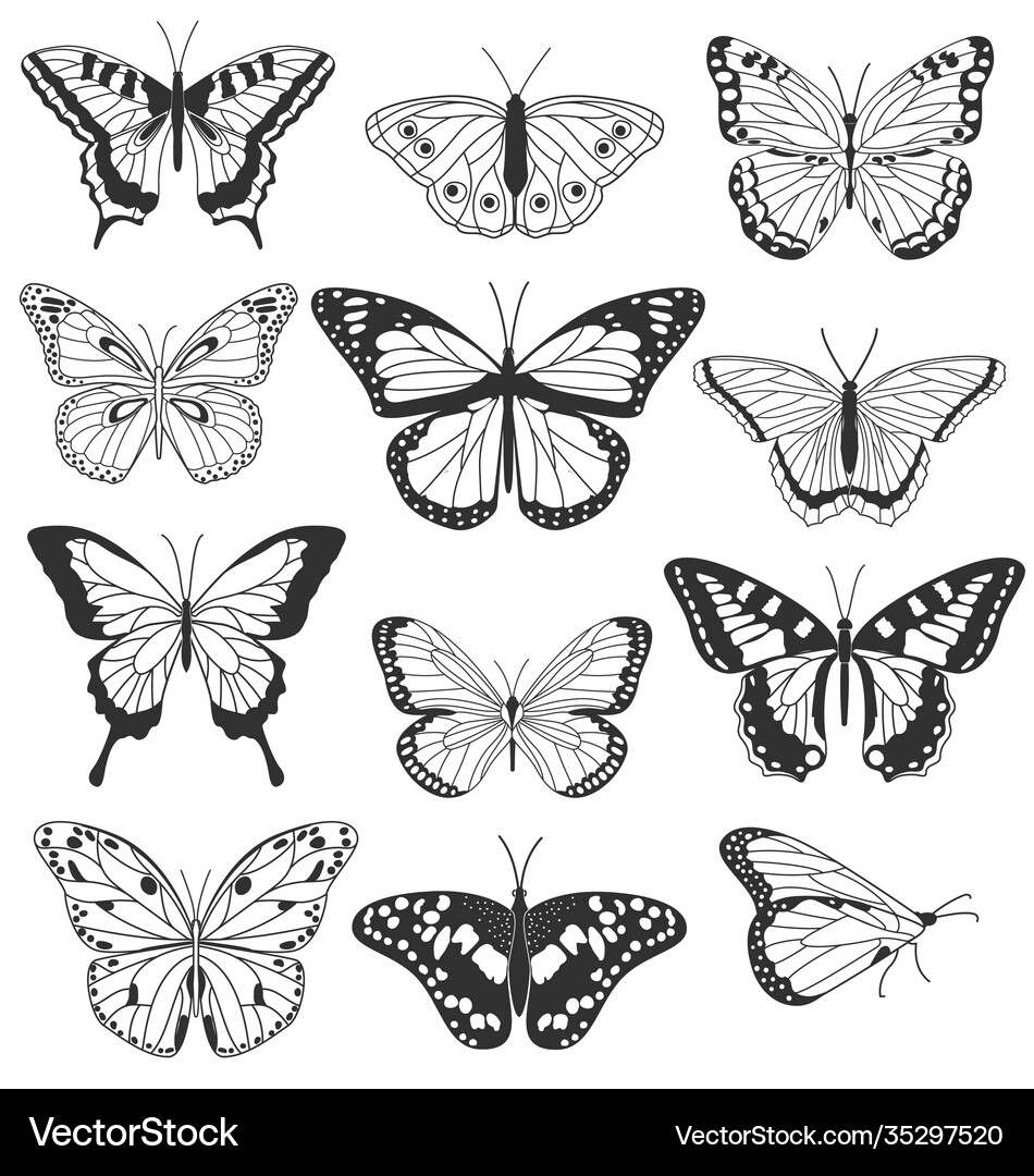 Set realistic butterflies isolated on white Vector Image