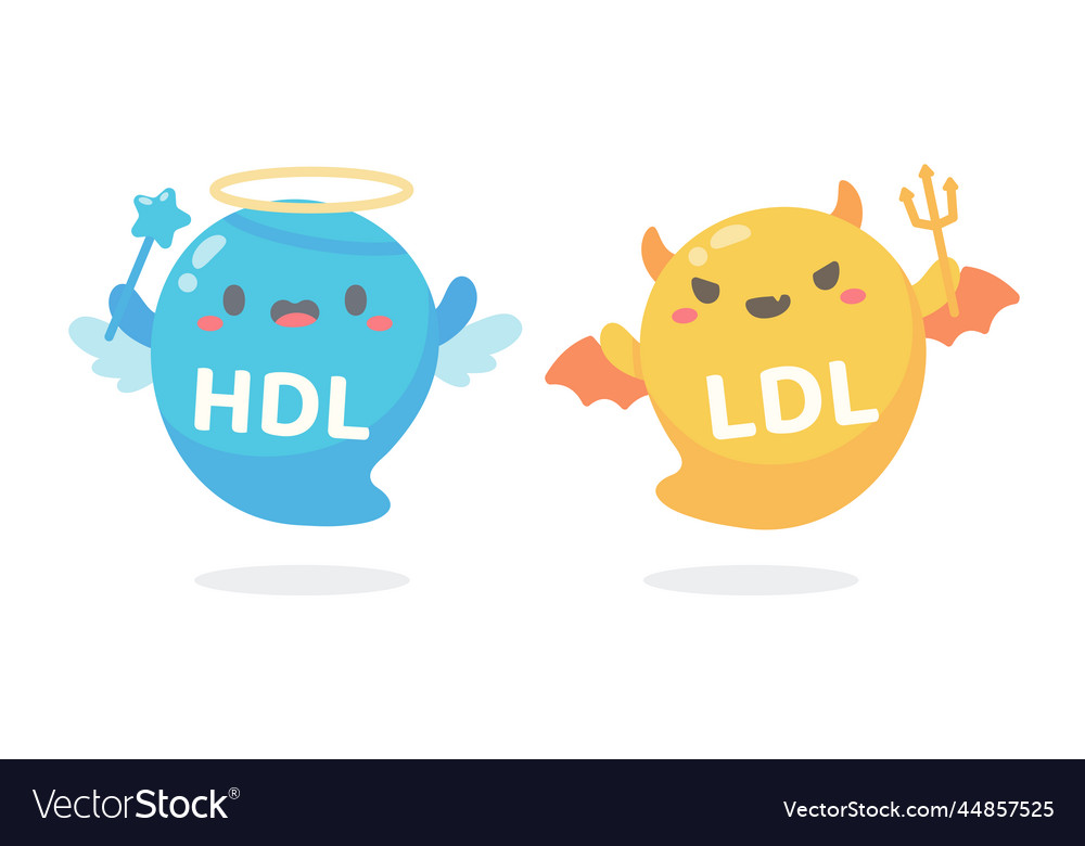 Hdl and ldl cholesterol cartoon good fat bad Vector Image