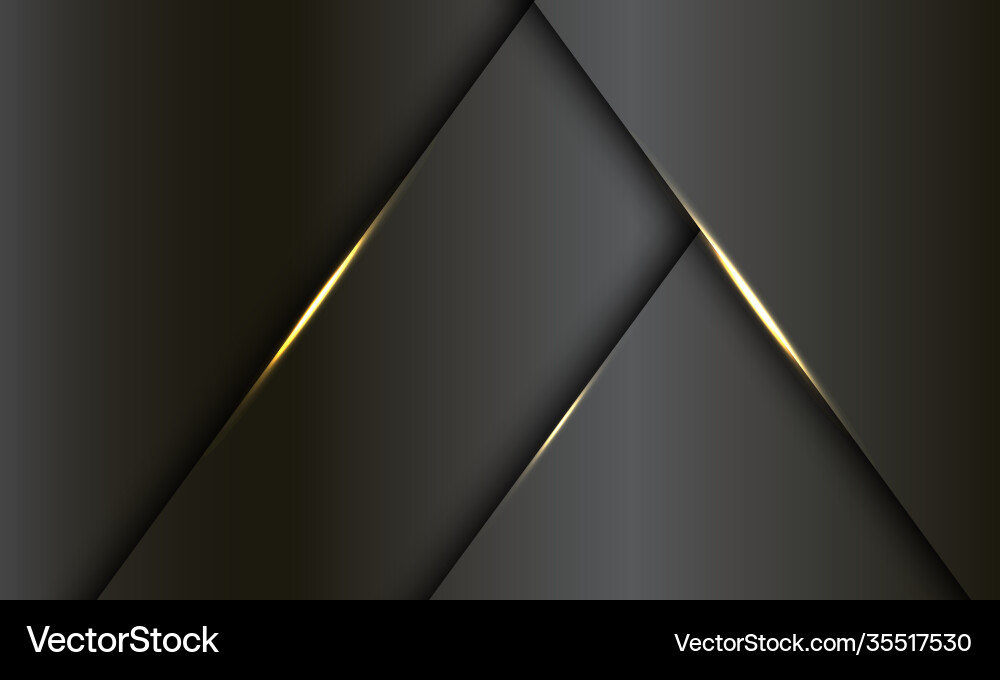 Abstract dark grey metallic gold light luxury Vector Image