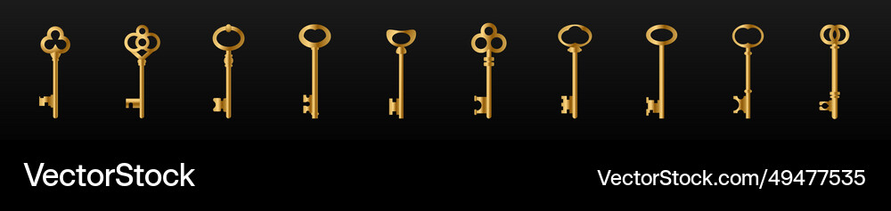 Old vintage golden key skeleton Royalty Free Vector Image