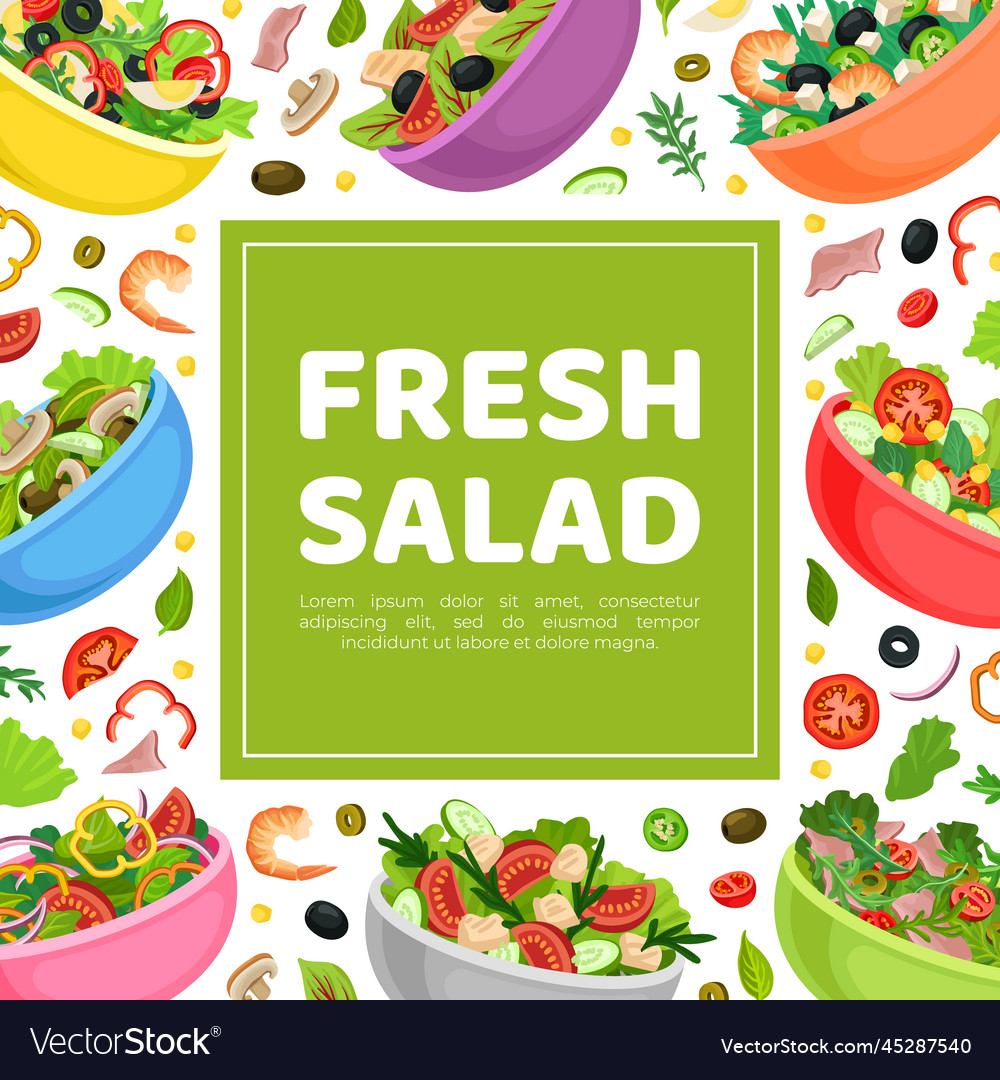 Fresh salad banner template organic healthy Vector Image