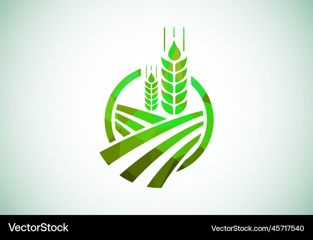 Wheat and field low poly style icon and logo Vector Image