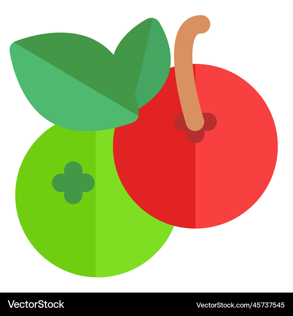 Ripe and juicy currants berries Royalty Free Vector Image